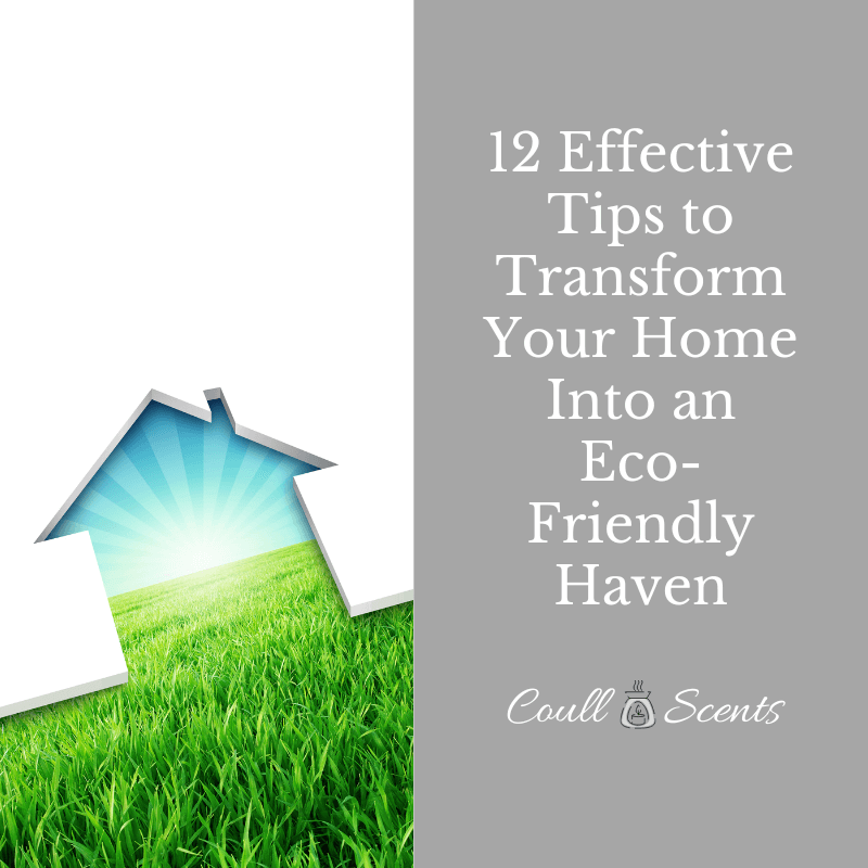 12 Tips to Transform Your Home Into an Eco-Friendly Haven - Coull Scents